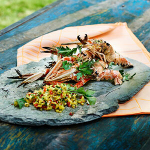 Morsø Forno Deluxe Terra Package - Rangemoors